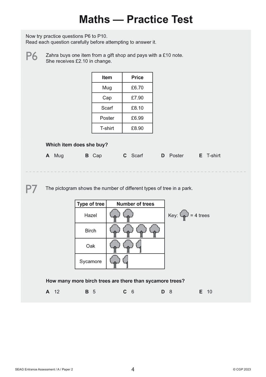 New SEAG Year 6 GL & Other Maths English Entrance Assessment Practice ...